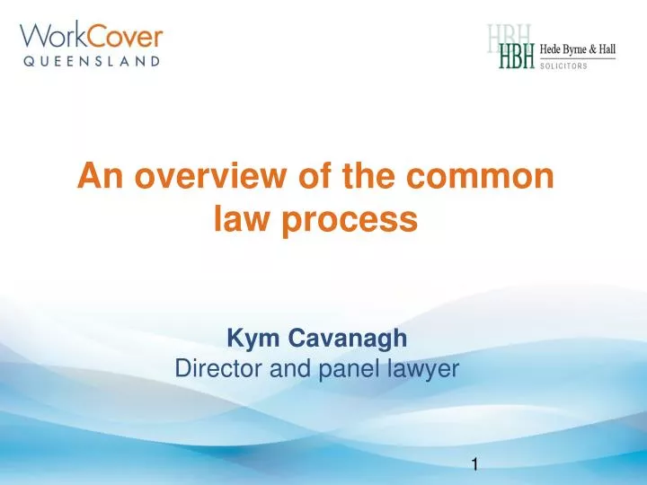PPT - An overview of the common law process PowerPoint Presentation ...