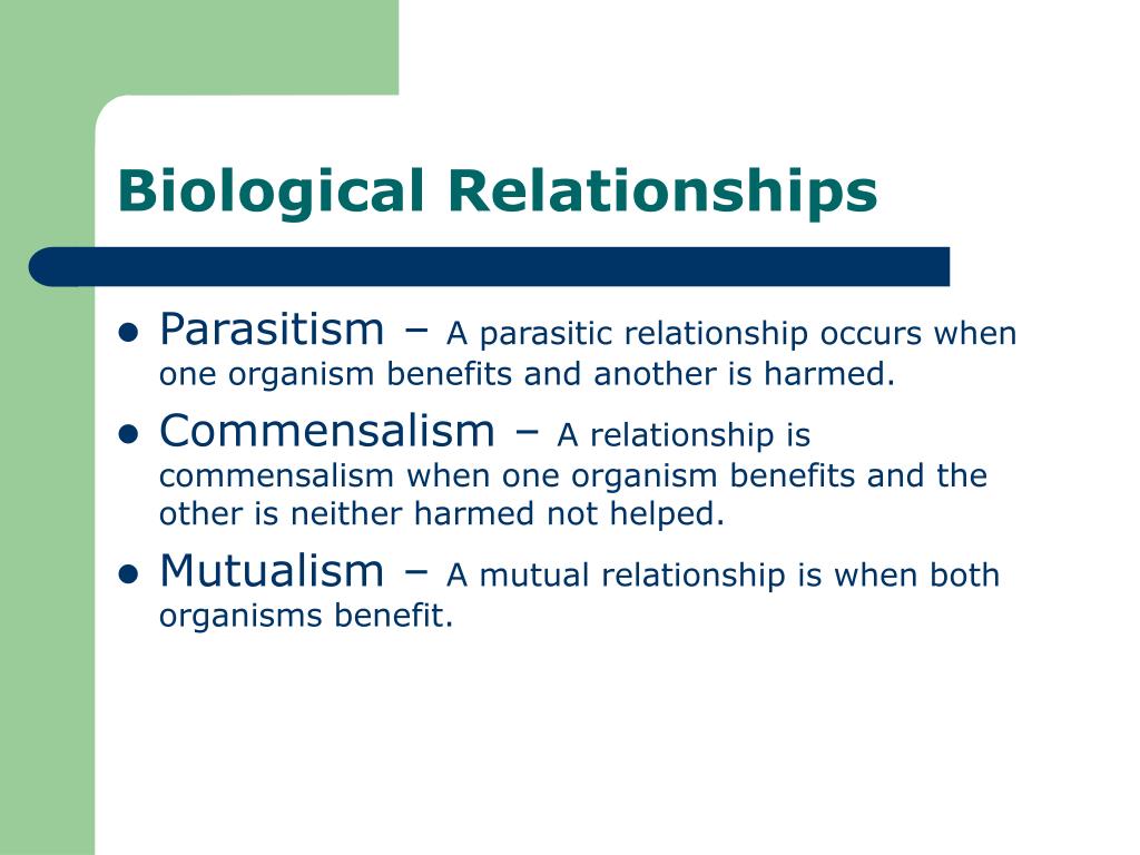 PPT - Exploring Humexiville: Innovative Community Vision & Eco ...