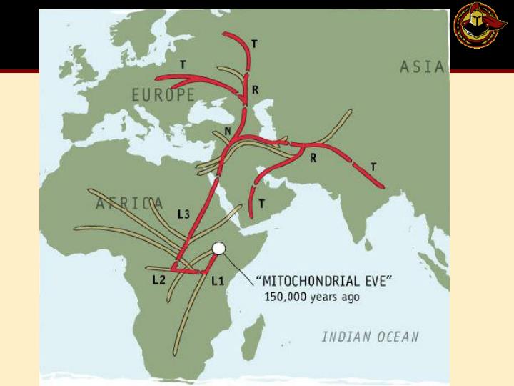 PPT - WHI.02: Early Humans PowerPoint Presentation - ID:6550902