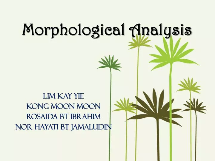 PPT - Morphological Analysis PowerPoint Presentation, free download ...