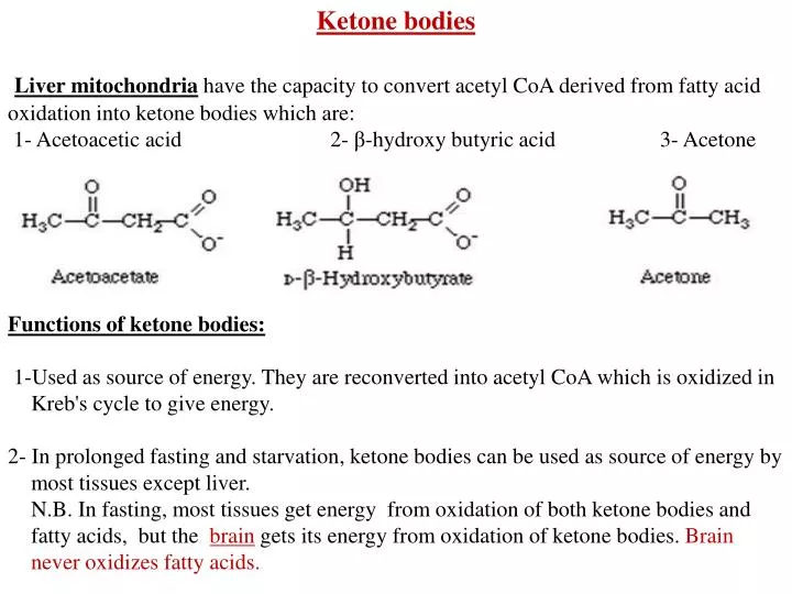 PPT - Ketone bodies PowerPoint Presentation, free download - ID:6553216