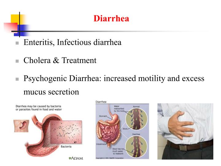 PPT - Physiology of Gastrointestinal Disorders PowerPoint Presentation ...