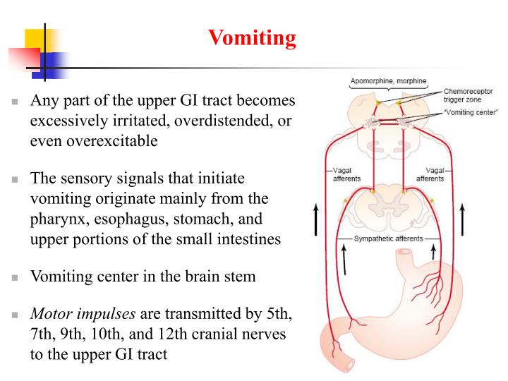 PPT - Physiology of Gastrointestinal Disorders PowerPoint Presentation ...