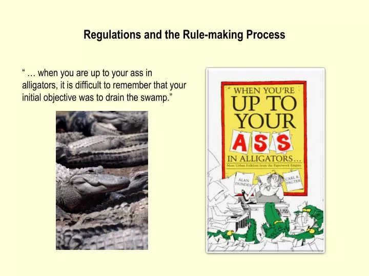 PPT - Regulations and the Rule-making Process PowerPoint Presentation ...