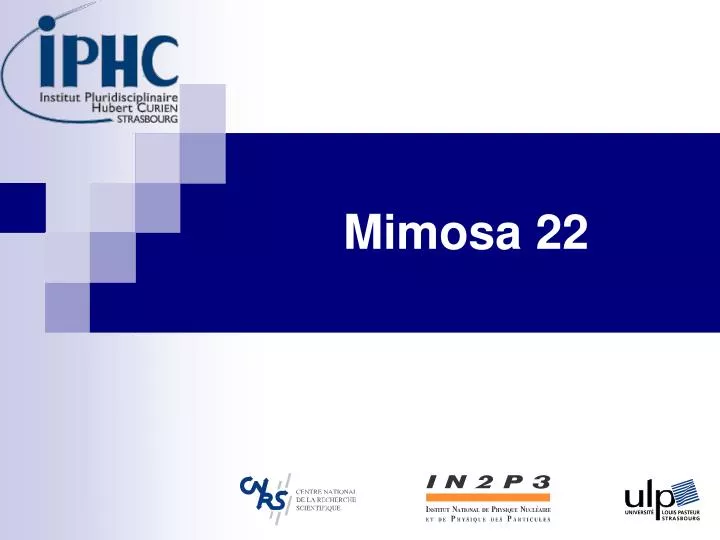 PPT - Mimosa 22 PowerPoint Presentation, free download - ID:6557162