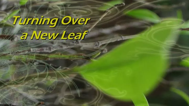 PPT - Turning Over a New Leaf PowerPoint Presentation, free download ...
