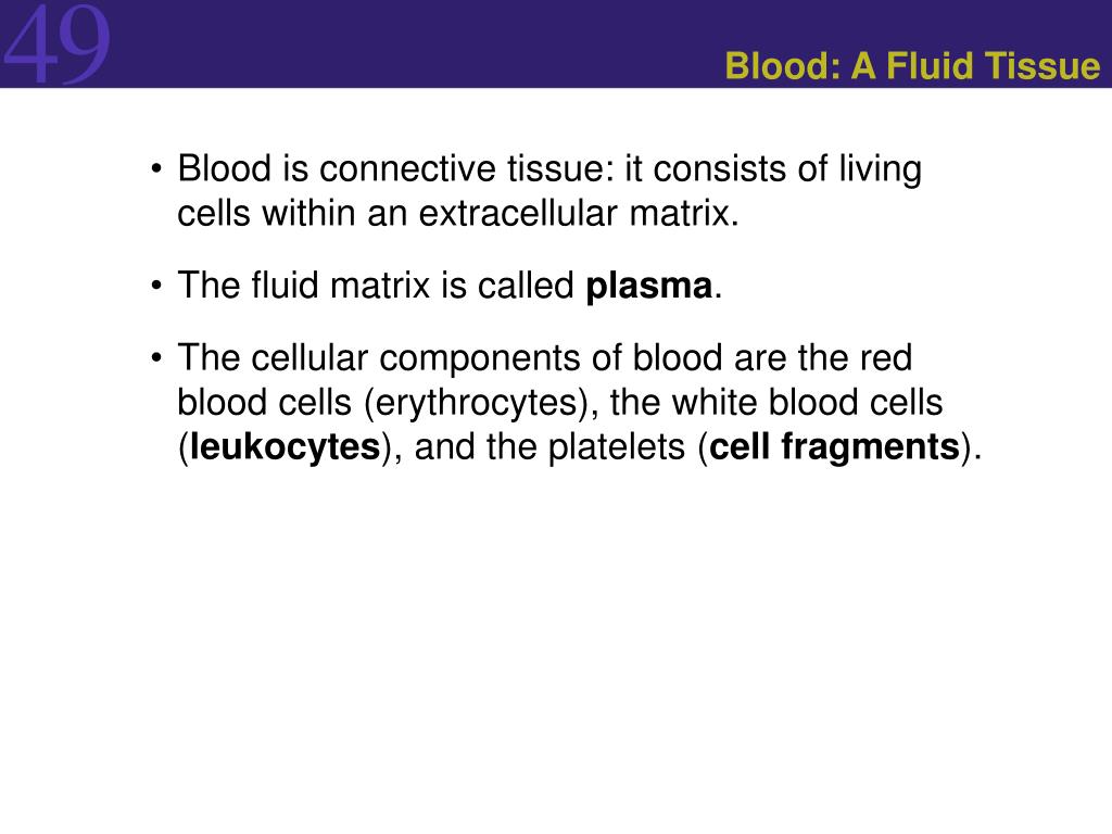 PPT - Circulatory Systems: Pumps, Vessels, and Blood PowerPoint ...