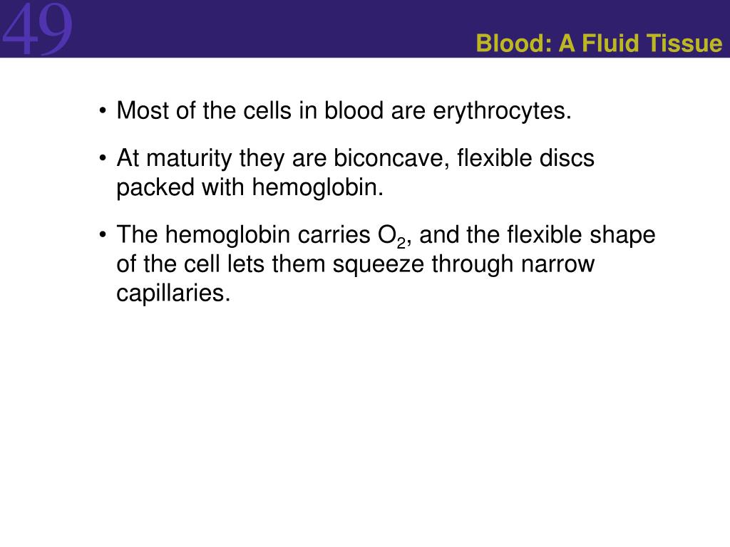 PPT - Circulatory Systems: Pumps, Vessels, and Blood PowerPoint ...