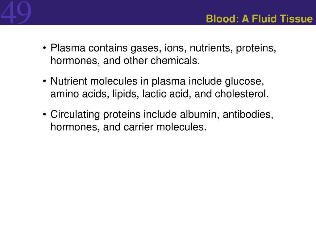 PPT - Circulatory Systems: Pumps, Vessels, and Blood PowerPoint ...