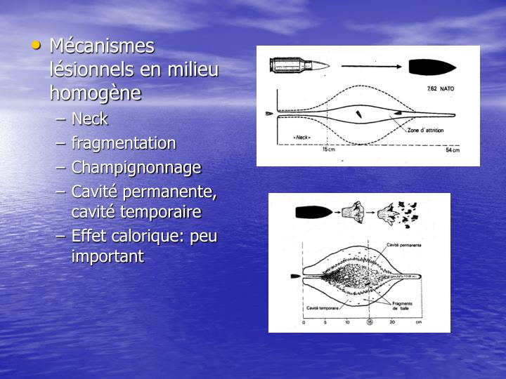 PPT - PLAIES ABDOMINALES PowerPoint Presentation - ID:6562108