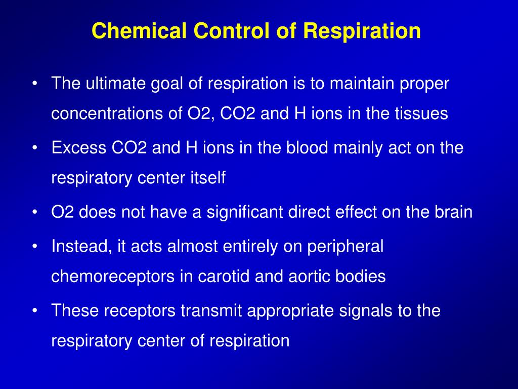 PPT - Regulation of Respiration PowerPoint Presentation, free download ... PPT - Regulation of Respiration PowerPoint Presentation, free download ...
