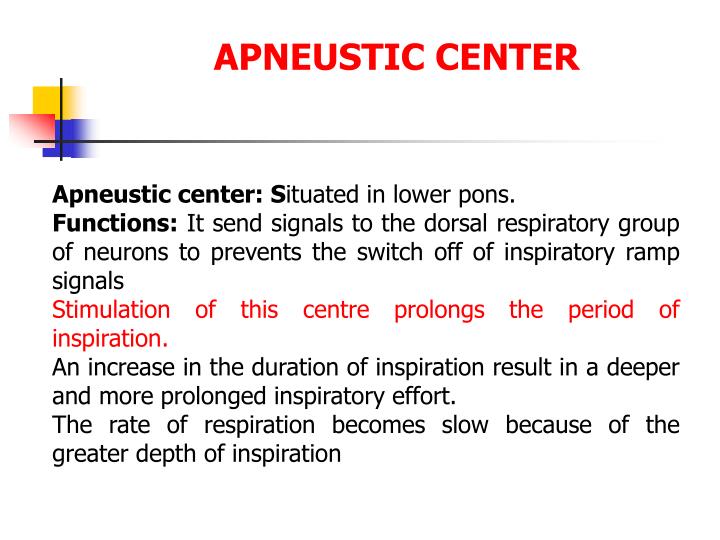 PPT - PHYSIOLOGY OF CONTROL OF BREATHING PowerPoint Presentation - ID ...