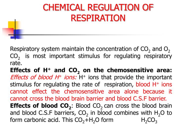 PPT - PHYSIOLOGY OF CONTROL OF BREATHING PowerPoint Presentation - ID ...