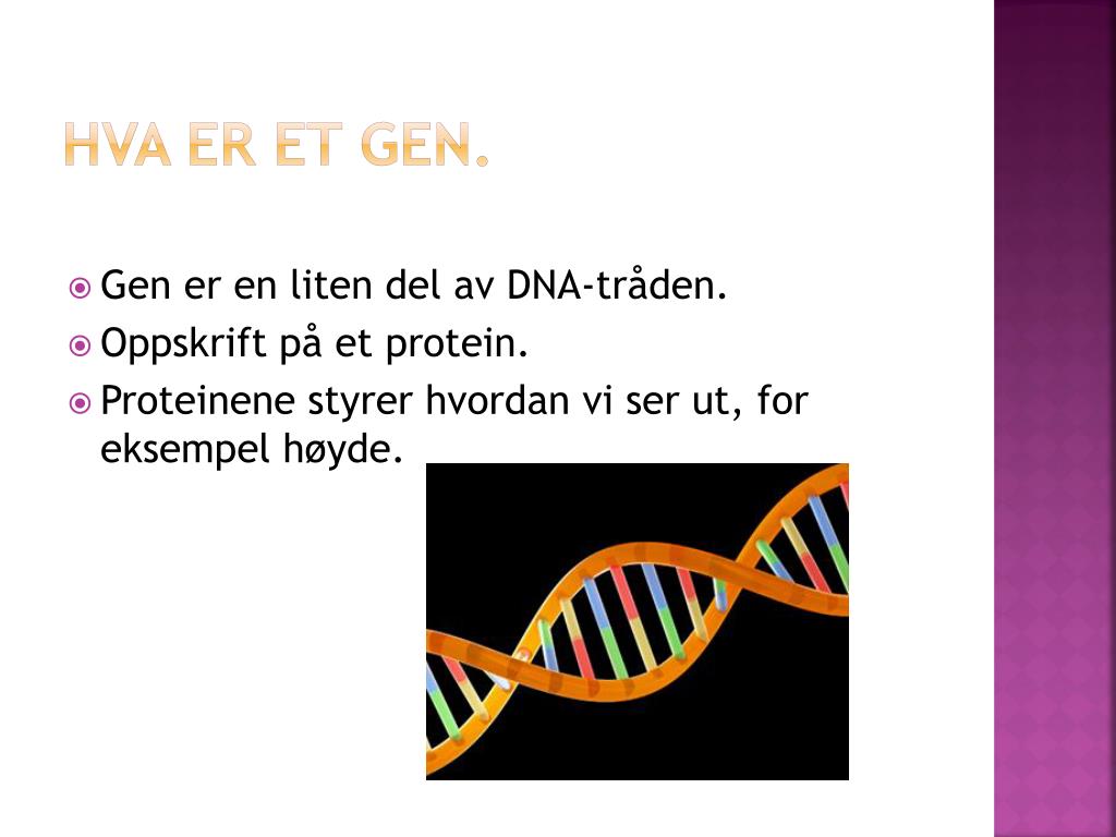 PPT - DNA og arvelære. PowerPoint Presentation, free download - ID:6565718