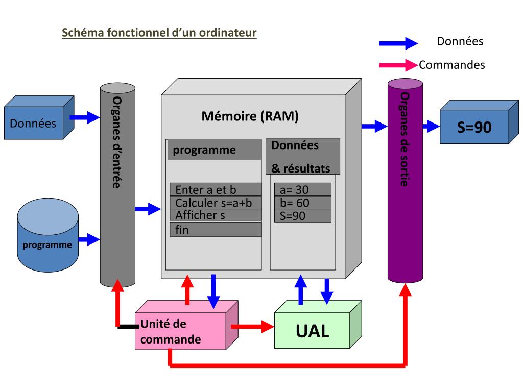 PPT - Structure de base d’un ordinateur PowerPoint Presentation, free ... PPT - Structure de base d’un ordinateur PowerPoint Presentation, free ...