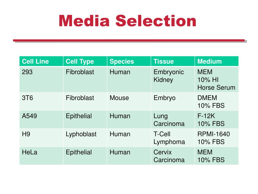 PPT - Plant and Mammalian Tissue Culture PowerPoint Presentation, free ...