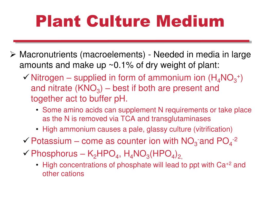 PPT - Plant and Mammalian Tissue Culture PowerPoint Presentation, free ...