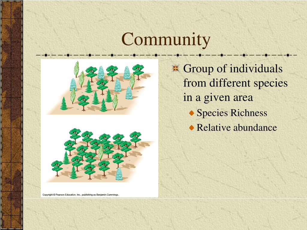 Ppt Community Ecology Powerpoint Presentation Free Download Id 6567298