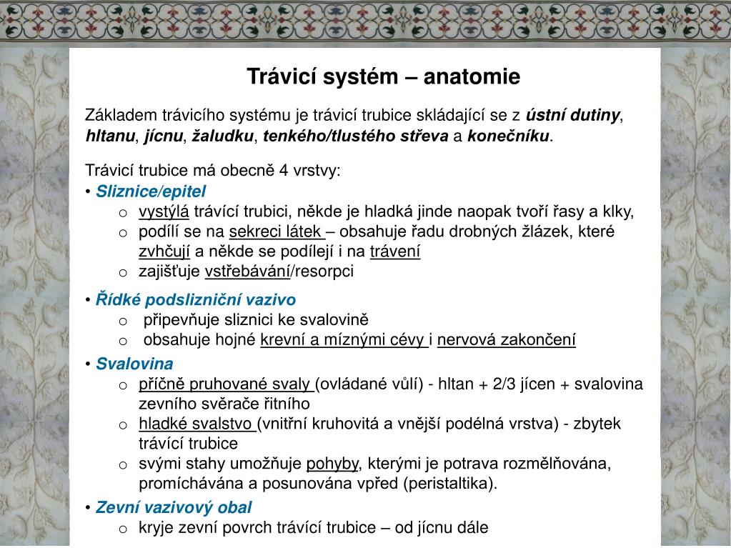 PPT - Trávicí systém – páčana sansthána PowerPoint Presentation - ID ...