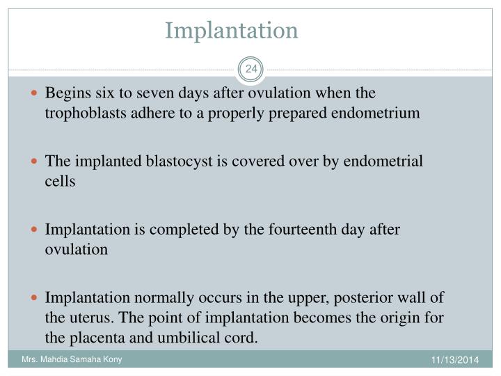 PPT - Fertilization and implantation PowerPoint Presentation - ID:6568971