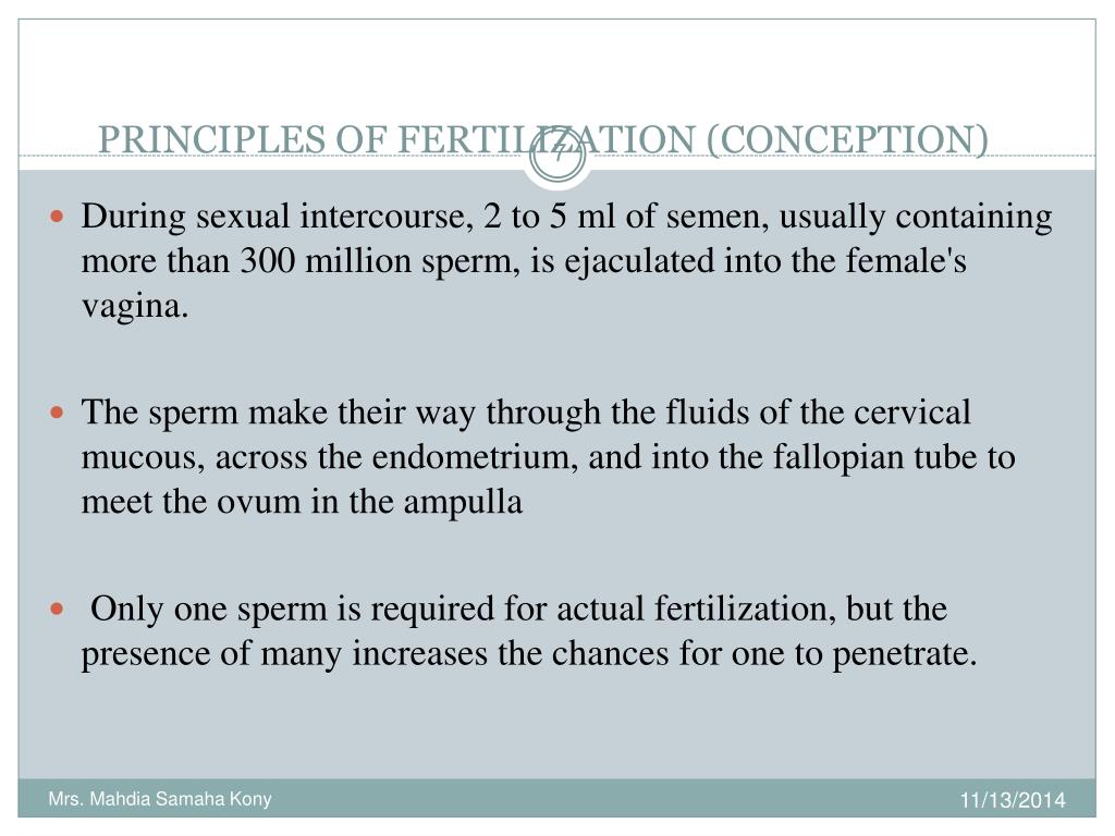 Ppt Fertilization And Implantation Powerpoint Presentation Free