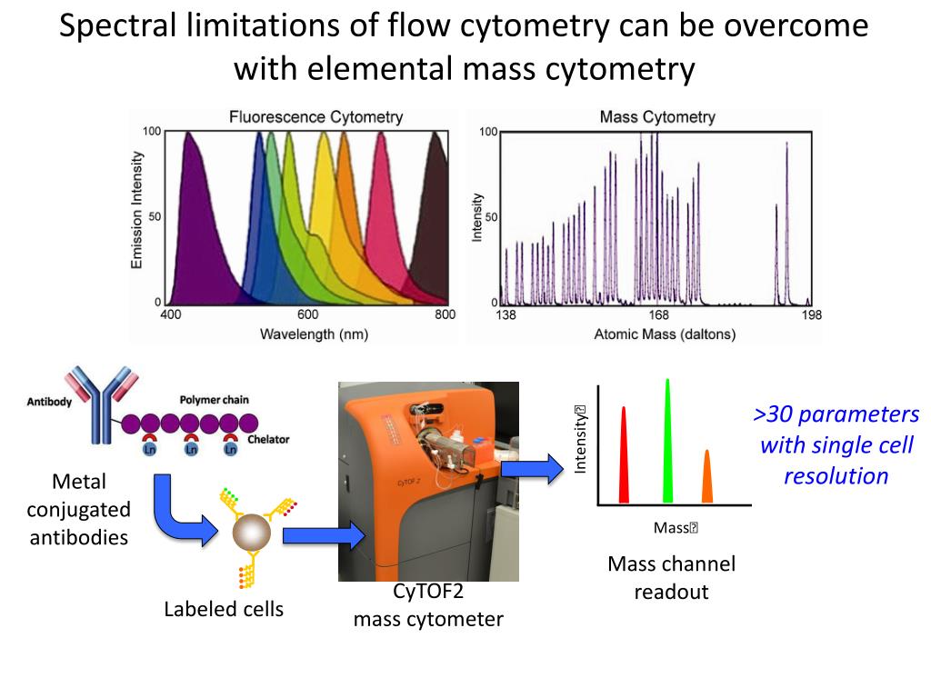 PPT - Cell Cycle I Molecular Cell Biology November 6, 2014 PowerPoint ...
