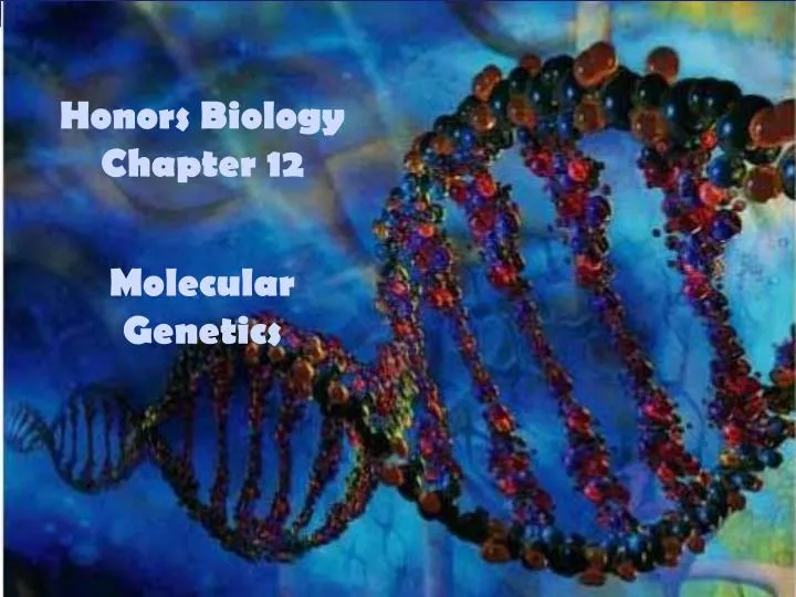 PPT - Honors Biology Chapter 12 Molecular Genetics PowerPoint ...
