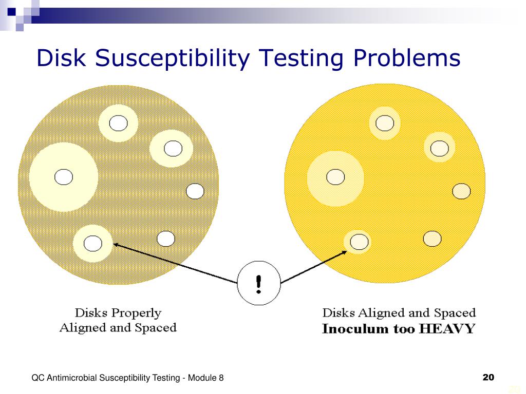 PPT - Antimicrobial Susceptibility Tests PowerPoint Presentation, free ... PPT - Antimicrobial Susceptibility Tests PowerPoint Presentation, free ...
