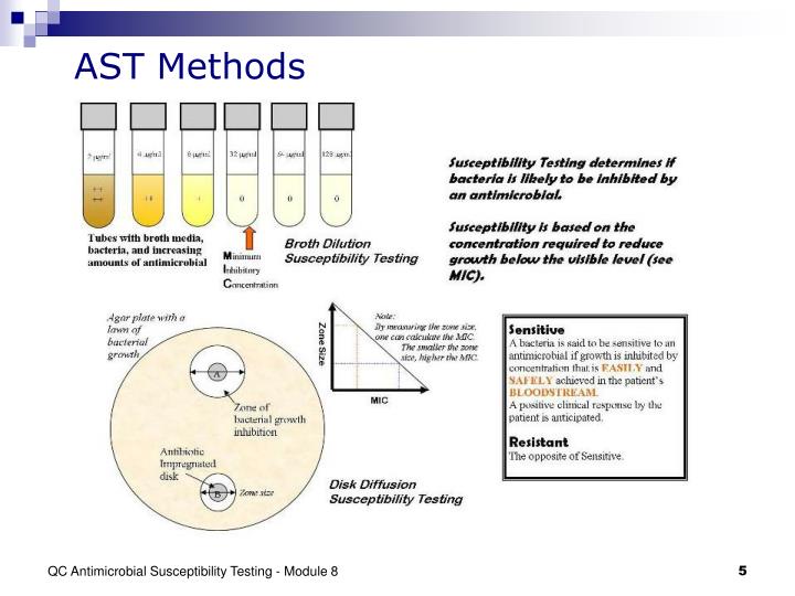 PPT - Antimicrobial Susceptibility Tests PowerPoint Presentation - ID ...