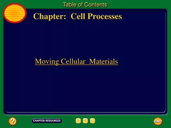PPT - Chapter: Cell Processes PowerPoint Presentation, free download ...