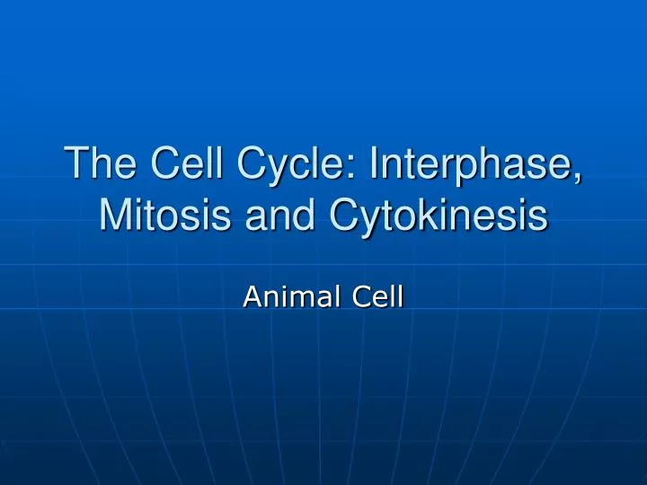 PPT - The Cell Cycle: Interphase, Mitosis and Cytokinesis PowerPoint ...