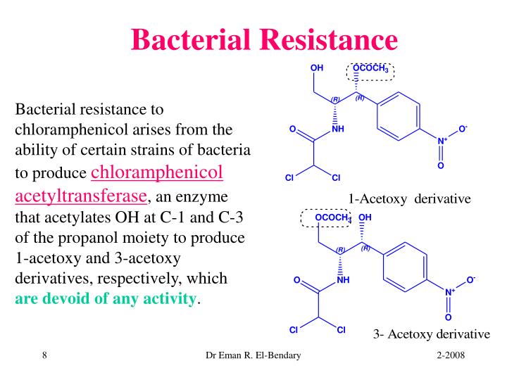 PPT - Amphenicols PowerPoint Presentation - ID:6571130