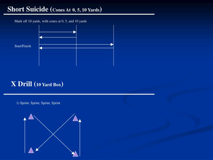 PPT - Principles of Speed & Agility Development PowerPoint Presentation ...