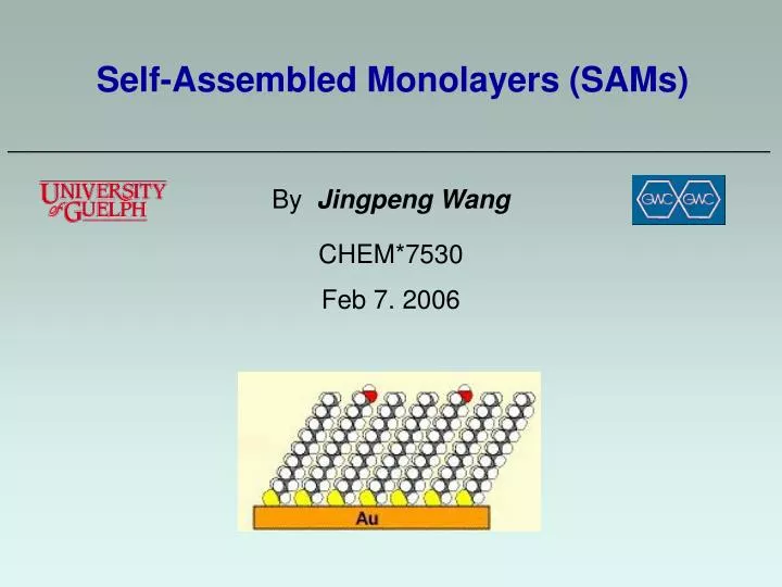 PPT - Self-Assembled Monolayers (SAMs) PowerPoint Presentation, free ...
