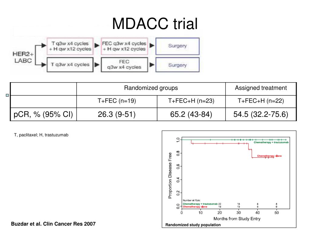 PPT - Schema di chemioterapia da associare a trastuzumab e valutazione ...