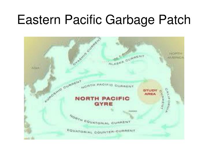 PPT - ENVIRONMENTAL ISSUES PowerPoint Presentation - ID:6575175