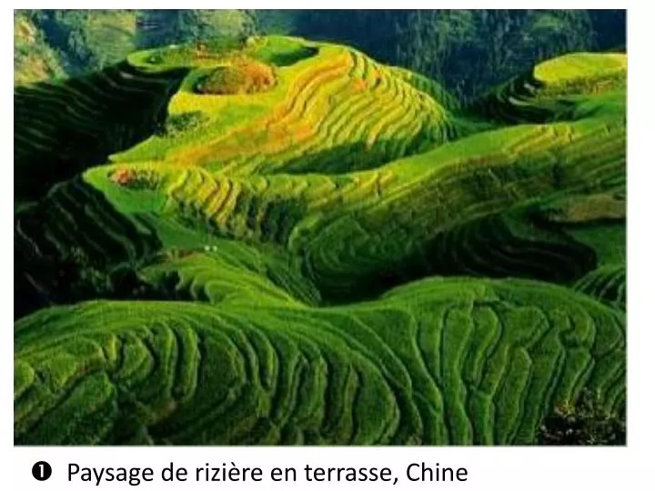 PPT - Paysage de rizière en terrasse, Chine PowerPoint Presentation ...