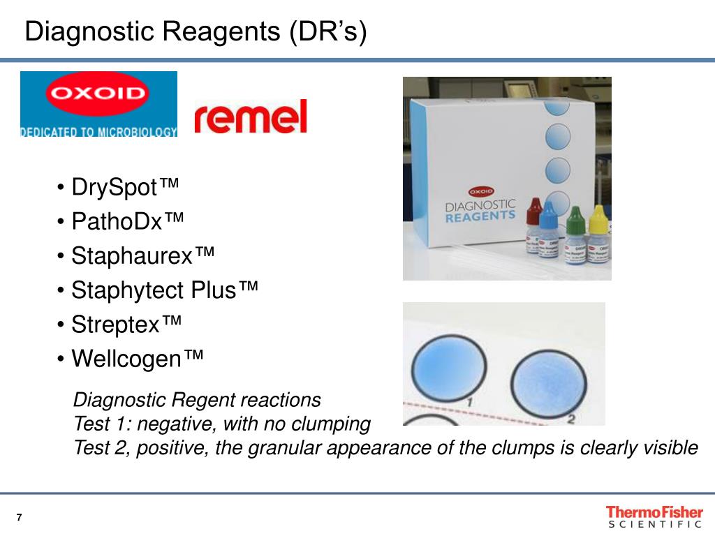PPT - Neal Parker (Industrial Account Manager) Ann Krywiuk (Molecular ...