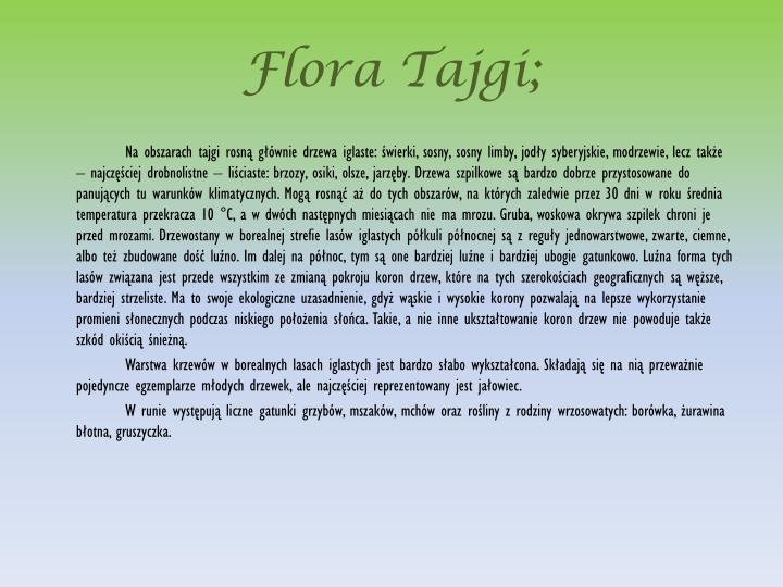 PPT - TAJGA PowerPoint Presentation - ID:6575908