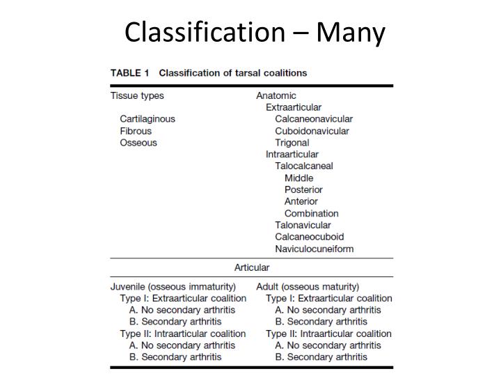 PPT - Tarsal Coalition PowerPoint Presentation - ID:6578156