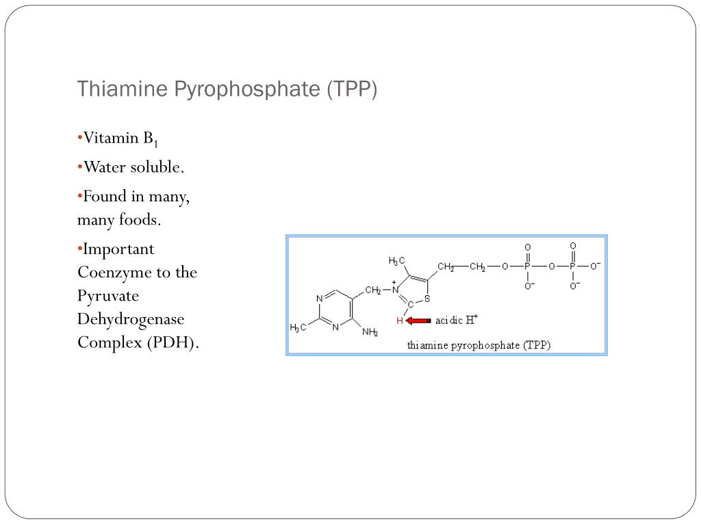 PPT - The Role of the Vitamin Thiamine PowerPoint Presentation, free ...