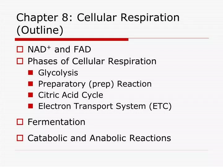 PPT - Chapter 8: Cellular Respiration (Outline) PowerPoint Presentation ...