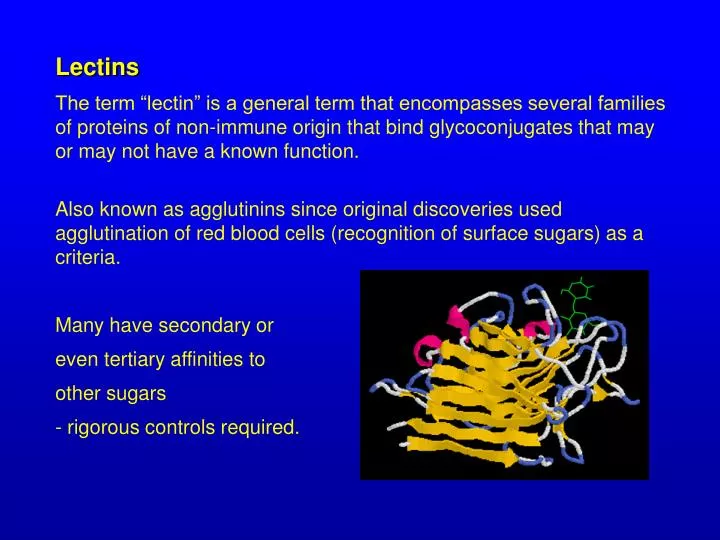 PPT - Lectins PowerPoint Presentation, free download - ID:6579601
