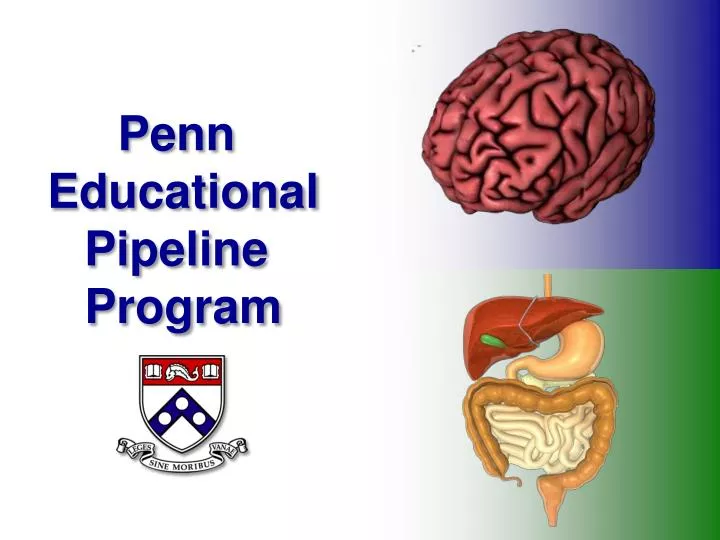 PPT - Penn Educational Pipeline Program PowerPoint Presentation, free ...