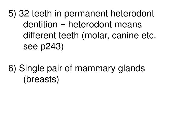 PPT - HOMINID EVOLUTION PowerPoint Presentation - ID:6580195