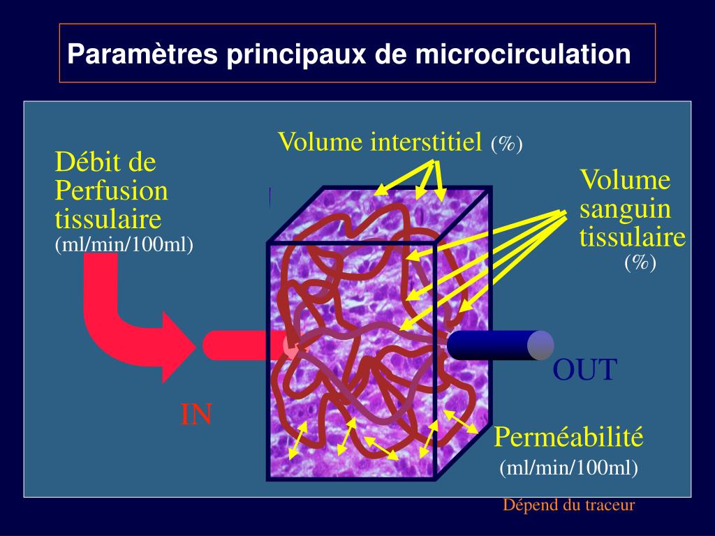 PPT - Imagerie de la perfusion tissulaire: en IRM dynamique DCE-MRI ...