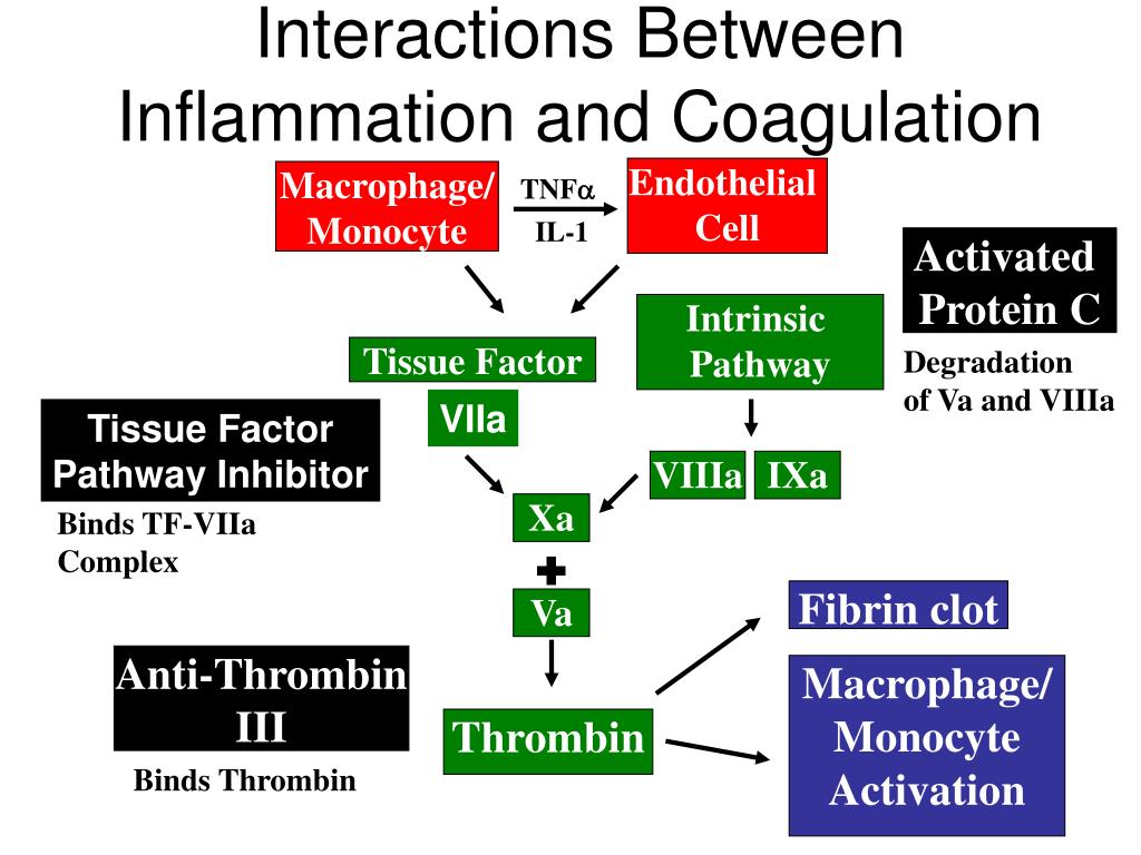 Ppt Inflammatory Response Current Concepts Powerpoint Presentation