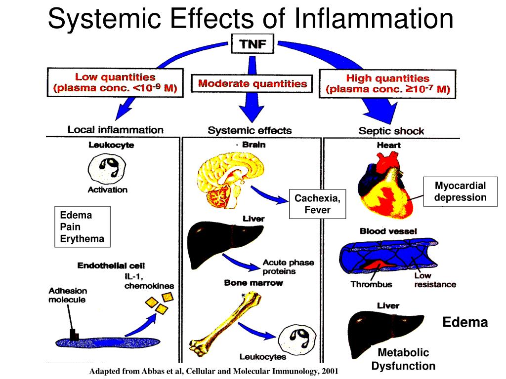 Ppt Inflammatory Response Current Concepts Powerpoint Presentation