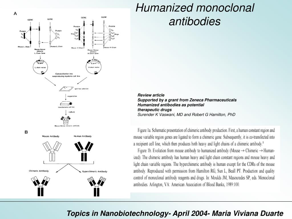 PPT - Recombinant DNA in Medicine Industry- Monoclonal Antibodies ...
