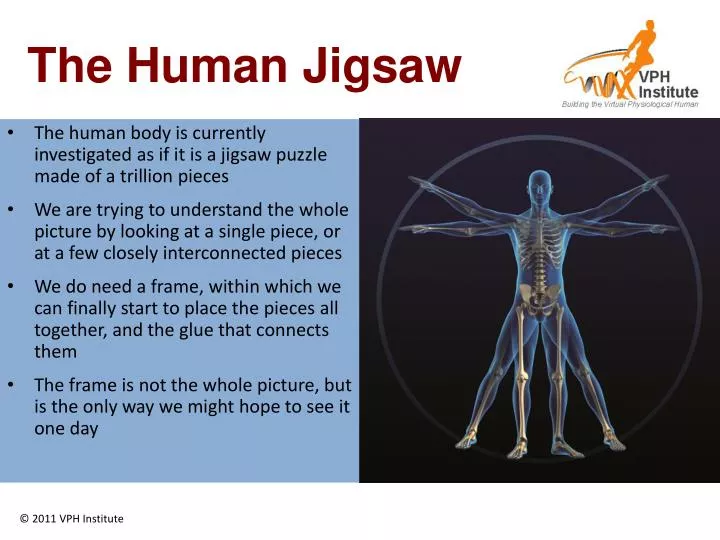 PPT - The Human Jigsaw PowerPoint Presentation, free download - ID:6581216
